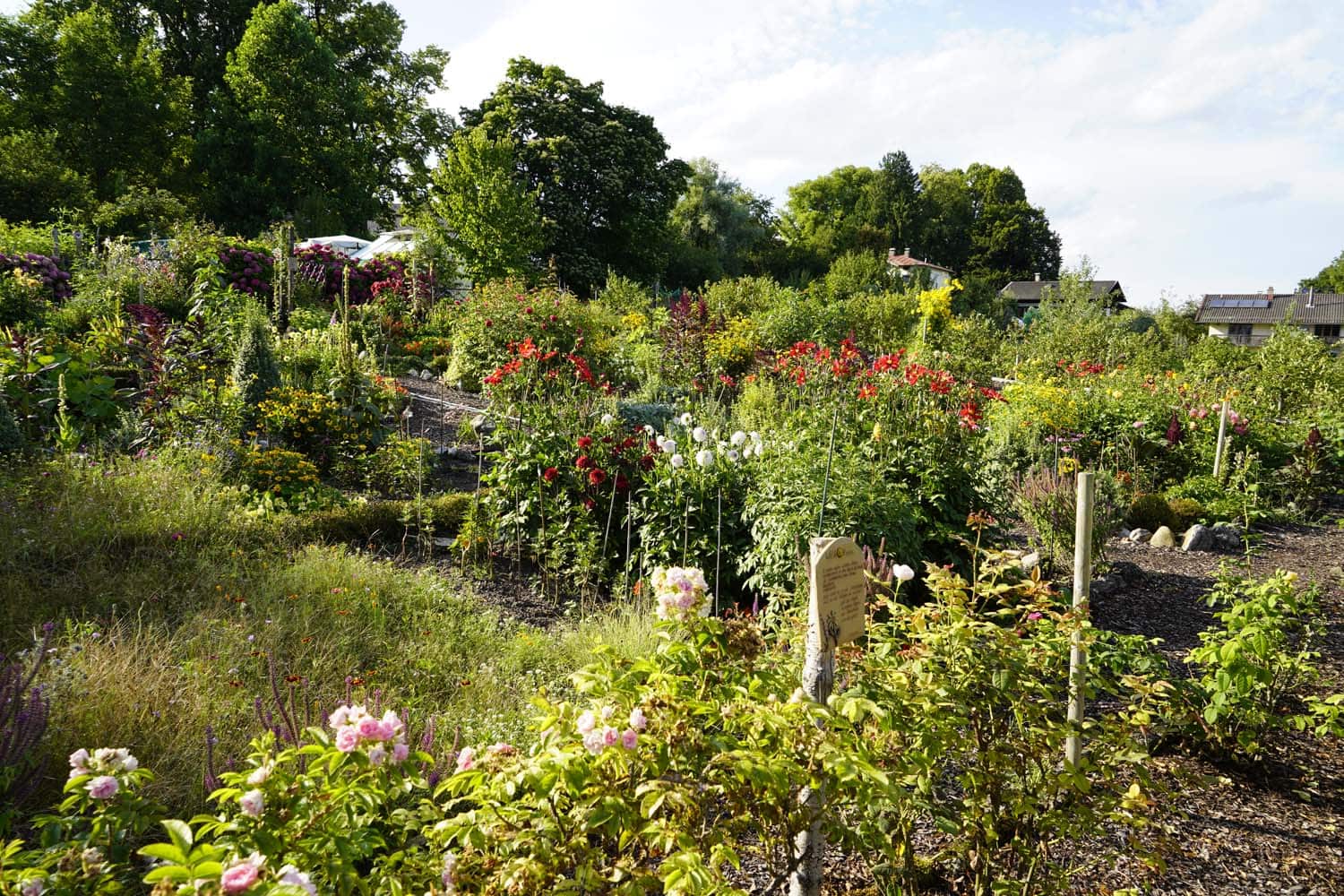 Alle Tipps für die Chiemsee Inseln & Schloss Herrenchiemsee