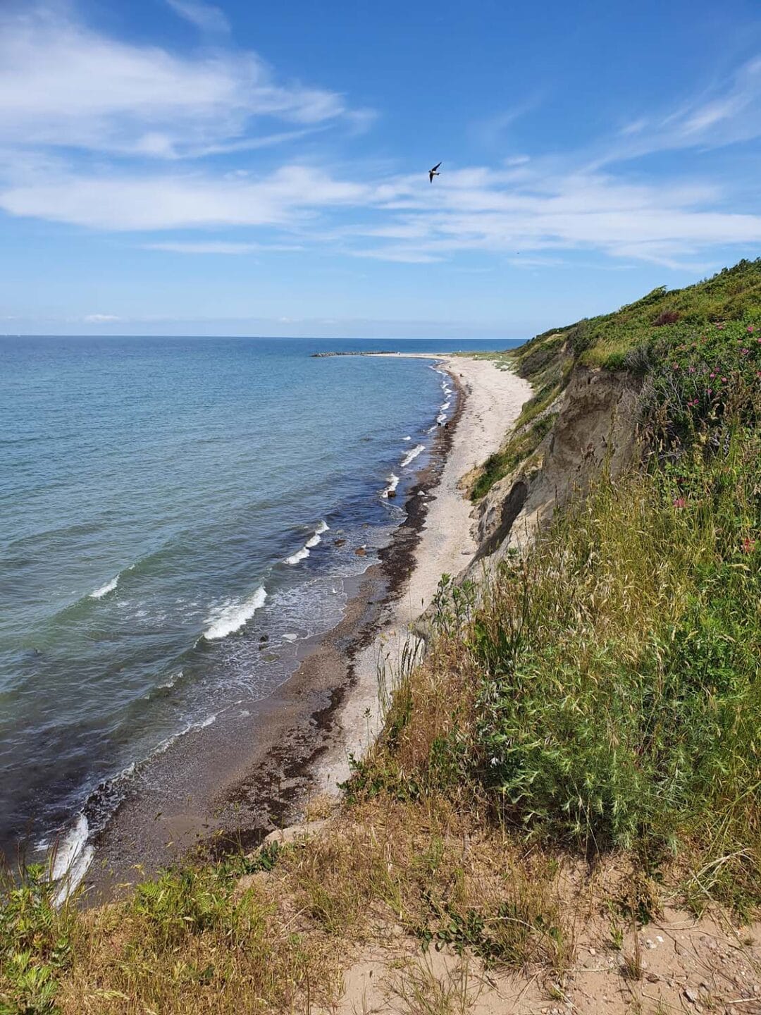 Urlaub in Prerow - Tipps für coole Aktivitäten an der Ostsee