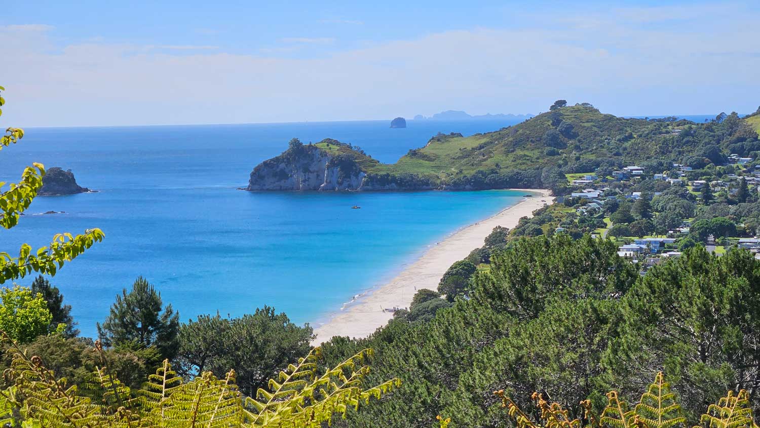 Hahei, Neuseeland – Tipps & Highlights auf Coromandel